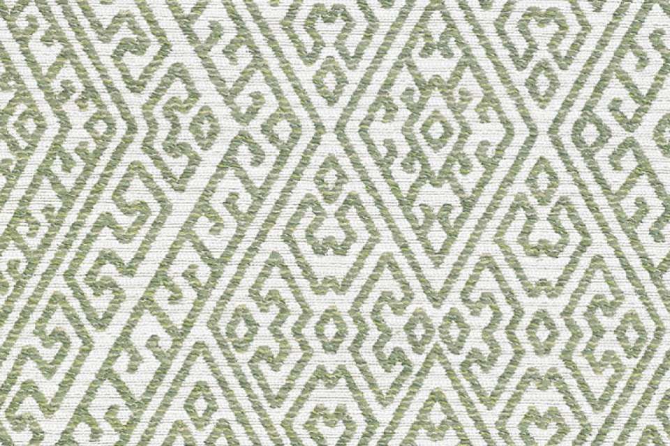 OFS - Athena Olive Tree